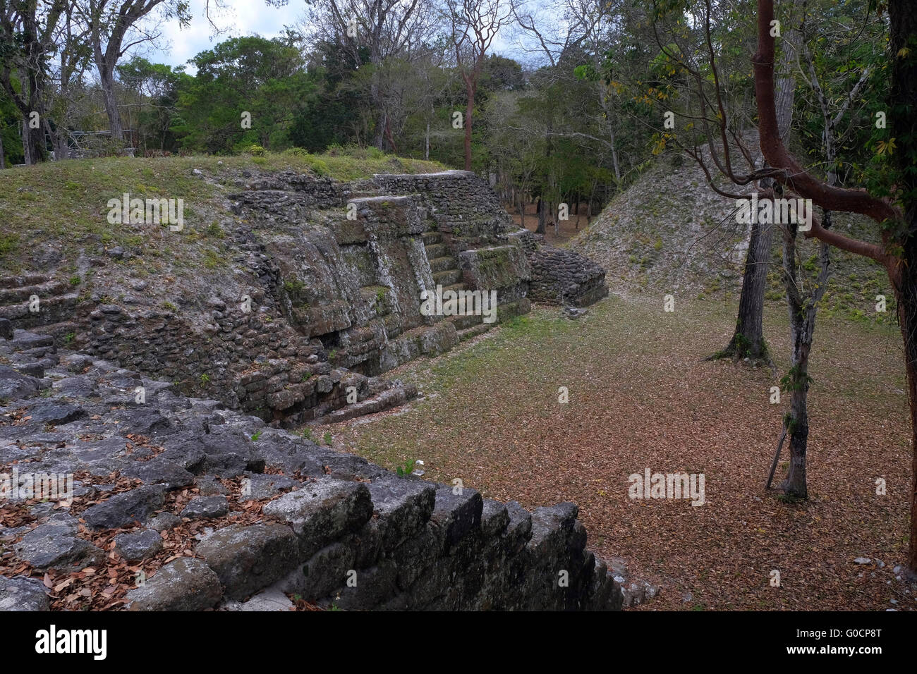 An ancient Mayan ruin in Uaxactun an ancient sacred place of the Maya ...