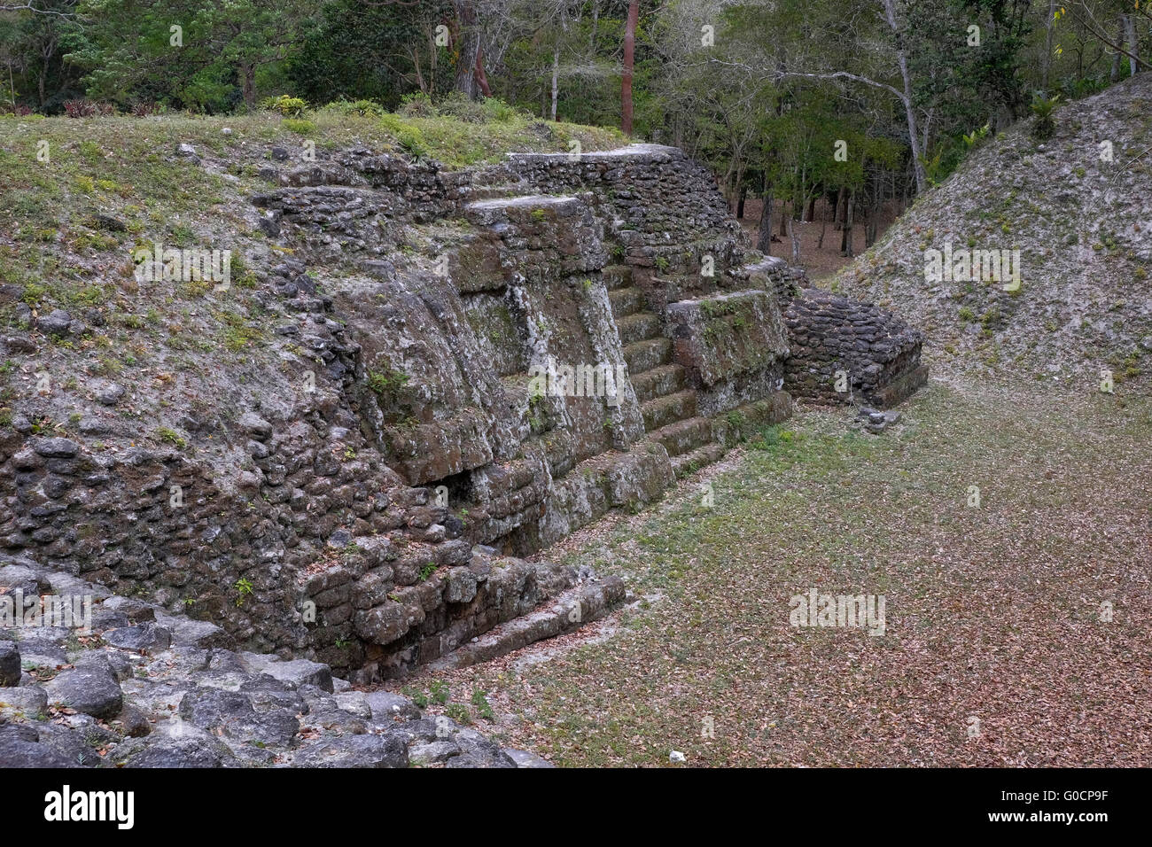 An ancient Mayan ruin in Uaxactun an ancient sacred place of the Maya ...