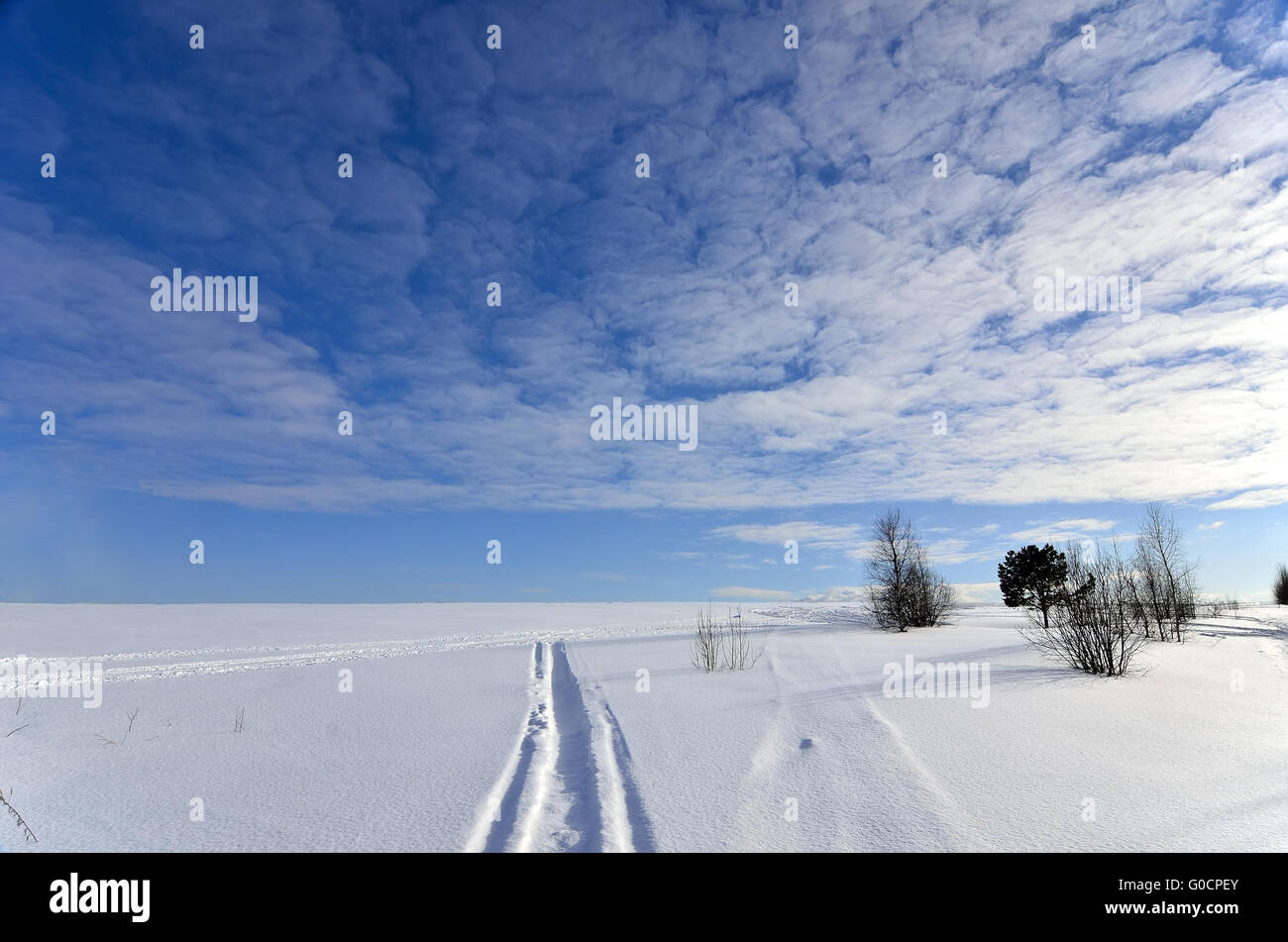 Sensitive natu hi-res stock photography and images - Alamy