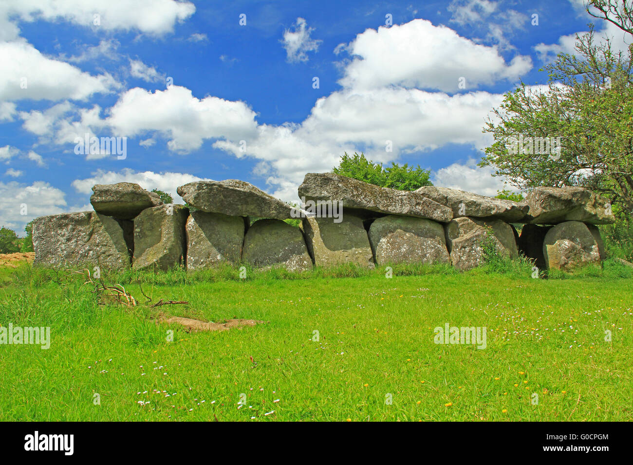 Megalithic grave in Brittany, France Stock Photo - Alamy