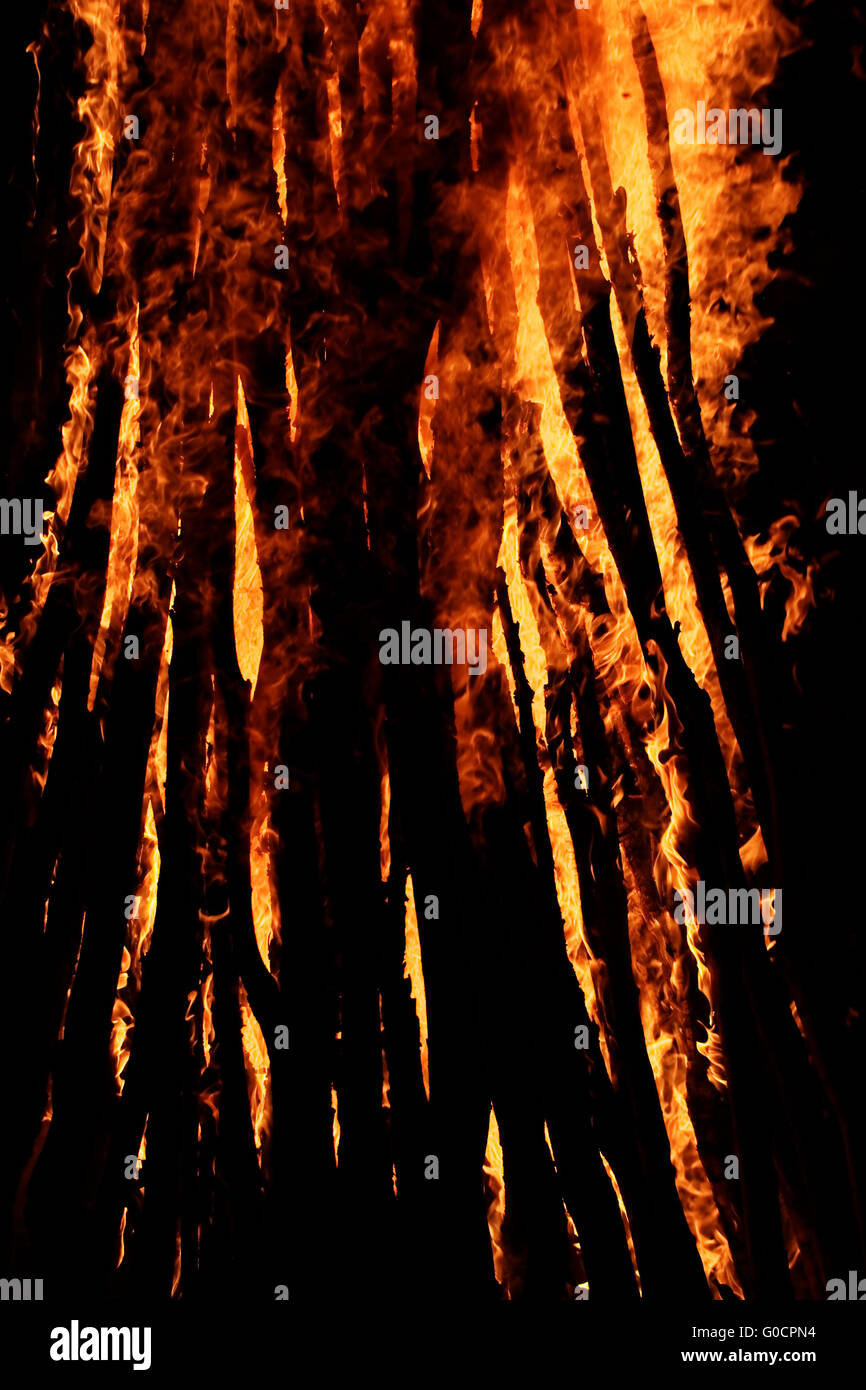 Beautiful camp fire at the dark night Stock Photo - Alamy