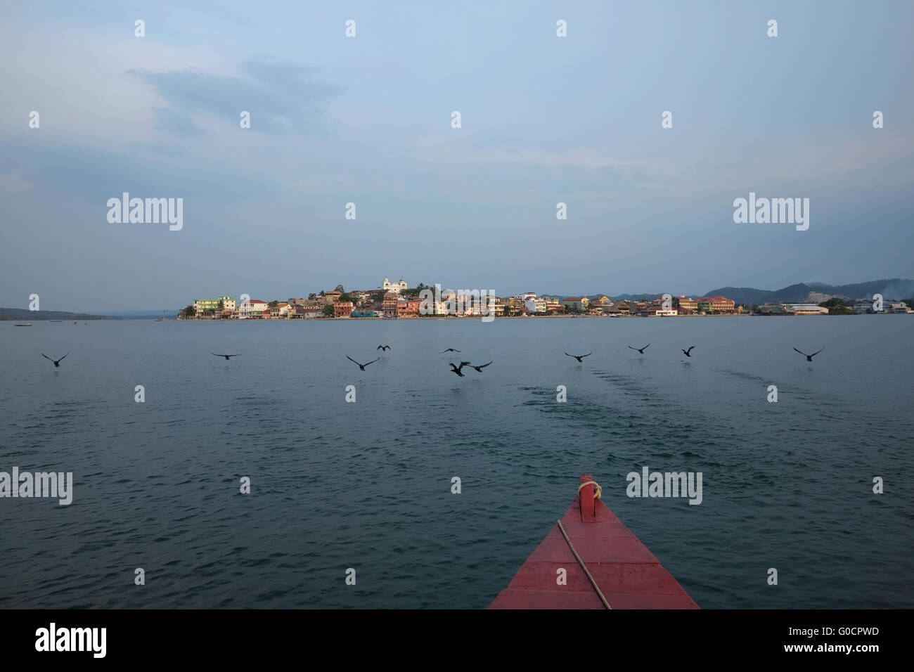 Petén basin birds hi-res stock photography and images - Alamy