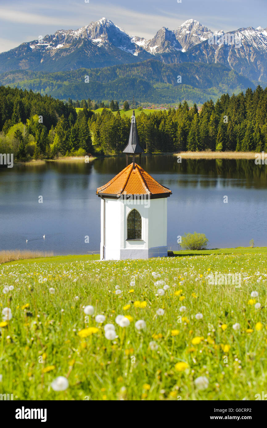Bavaria landscape with alps mountains and lake Stock Photo - Alamy