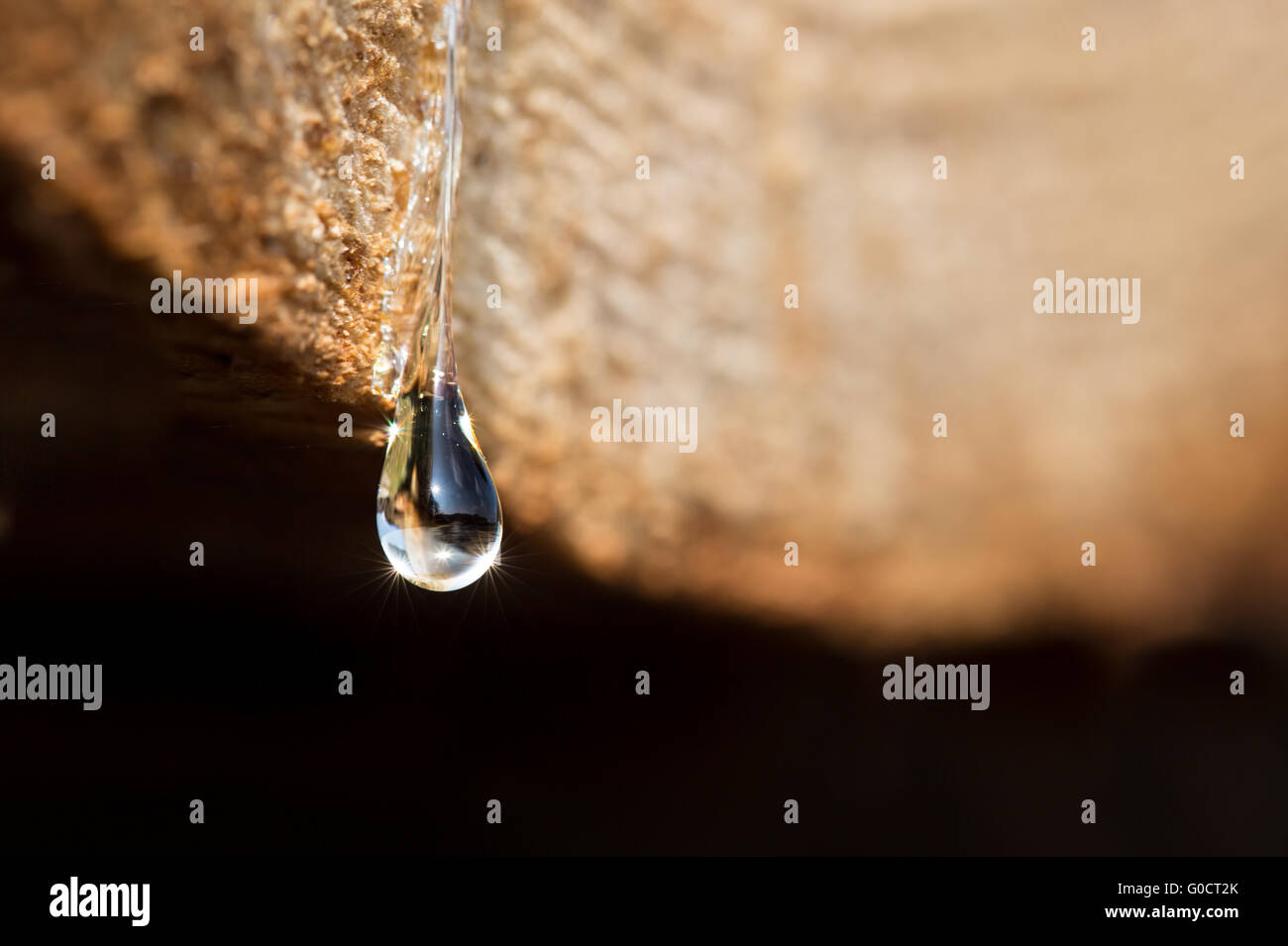 Tears of Trees Stock Photo - Alamy