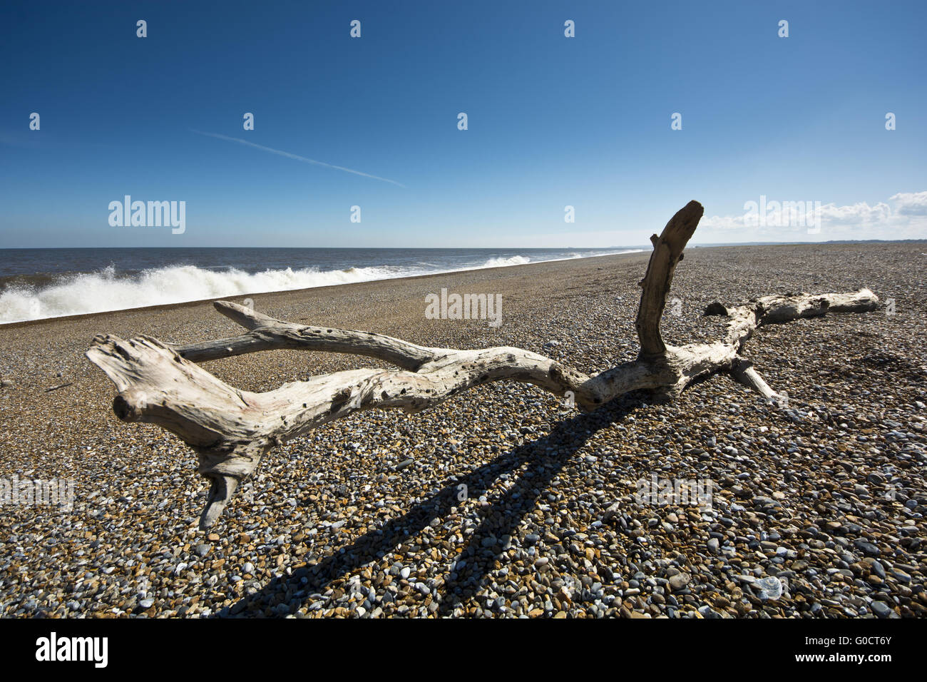 drift wood on beach Stock Photo - Alamy