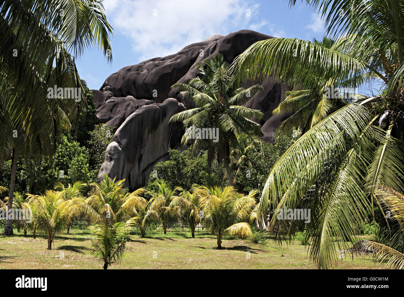 Beautiful enormous black granite rocks in a palm grove Stock Photo - Alamy
