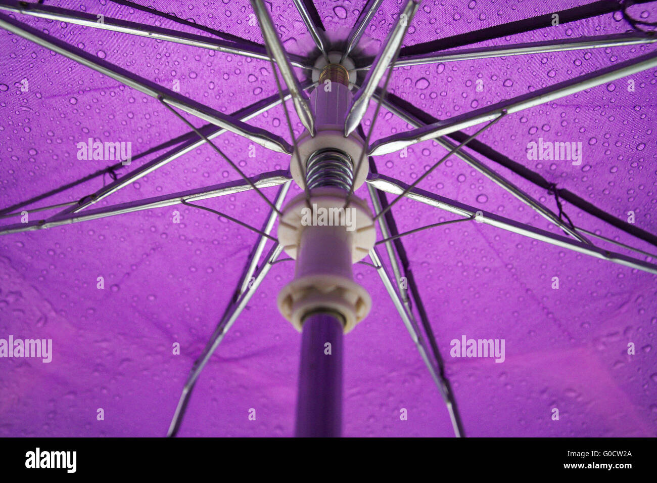 Purple Umbrella with rain droplets Stock Photo - Alamy