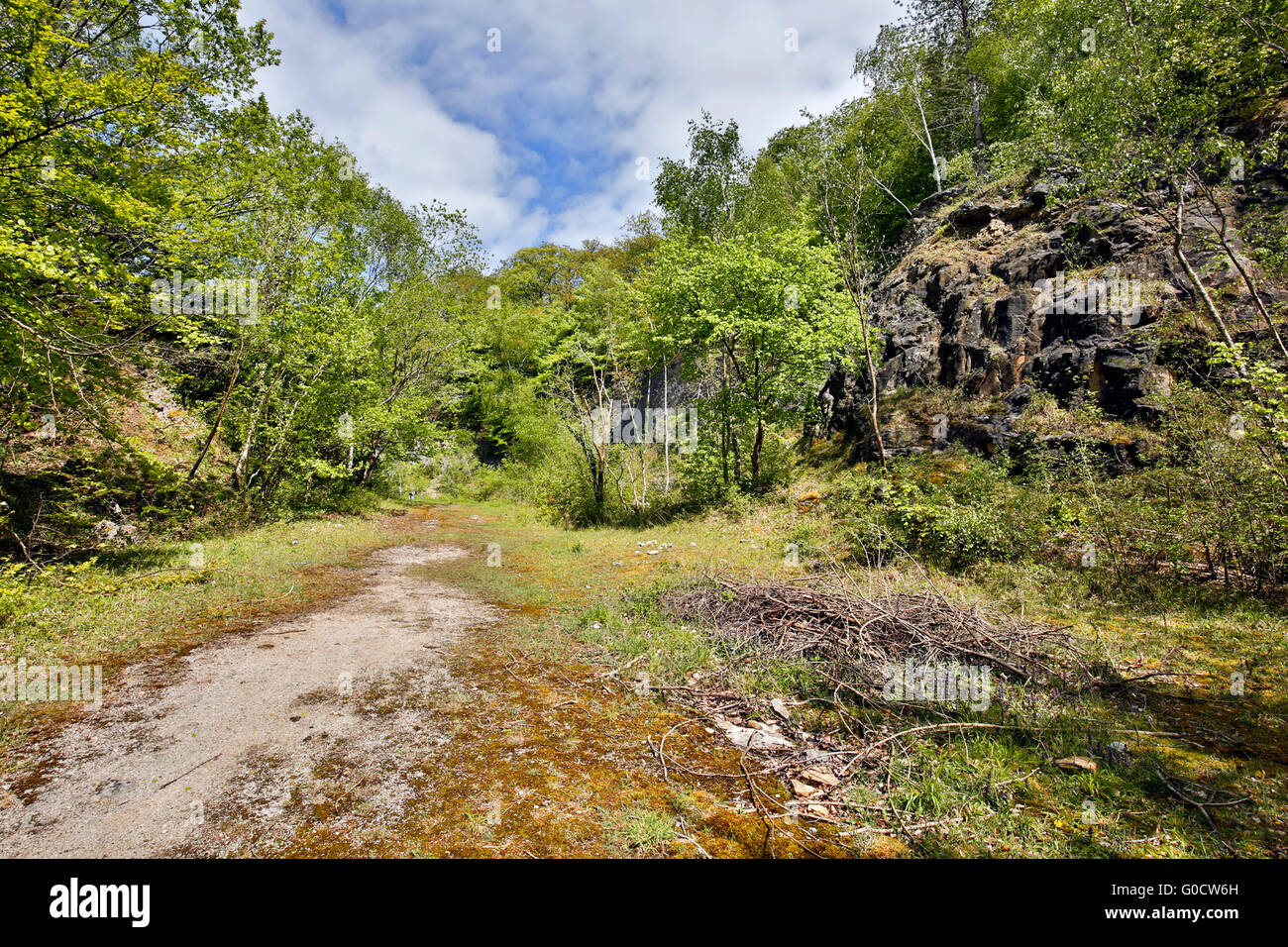 King Arthur's Cave; Herefordshire Wildlife Trust Reserve; The Doward ...