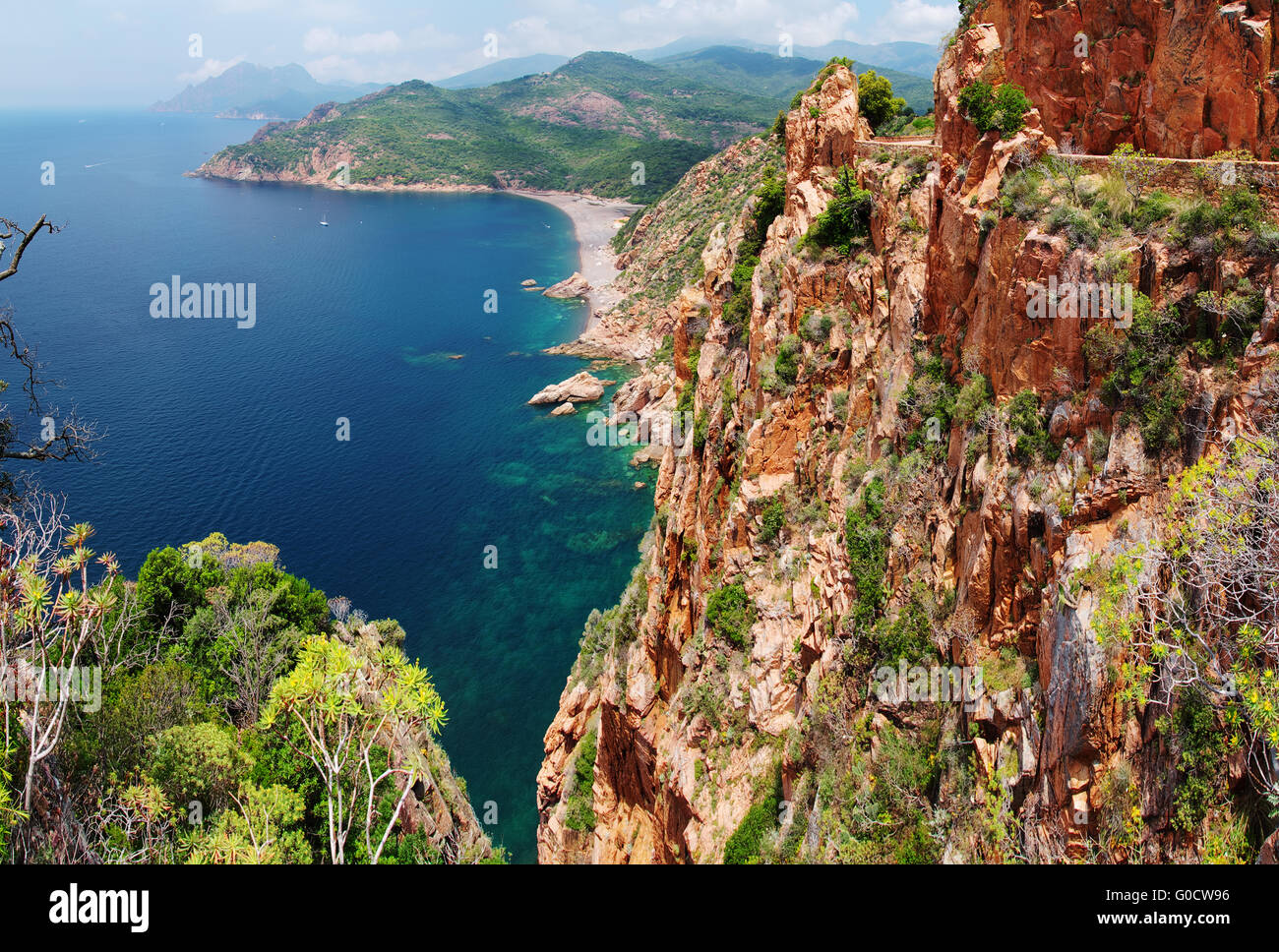Panoramic View on the cliffs in the Gulf of Porto Stock Photo - Alamy