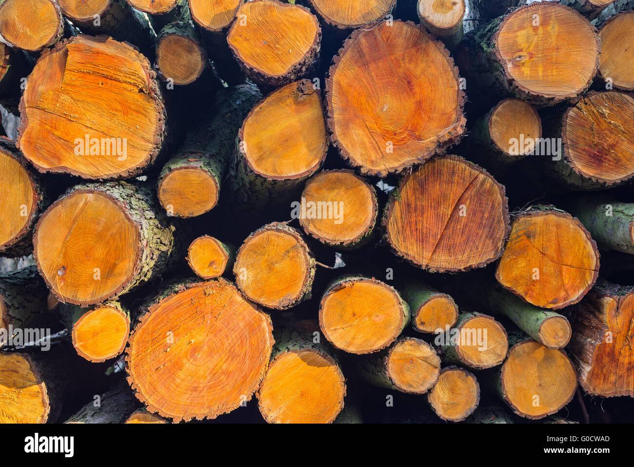 wood logs background Stock Photo - Alamy