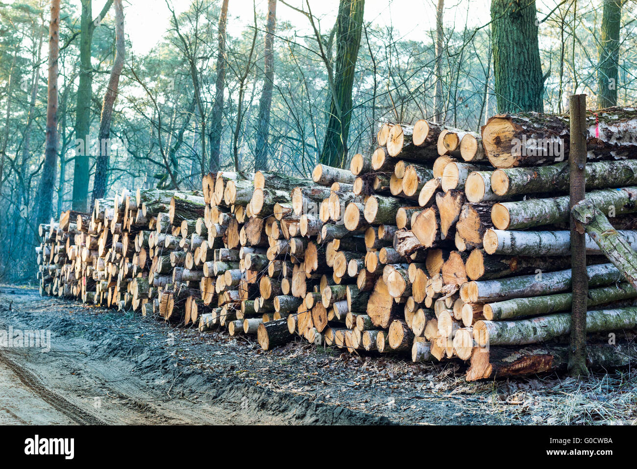 wood logs background Stock Photo - Alamy