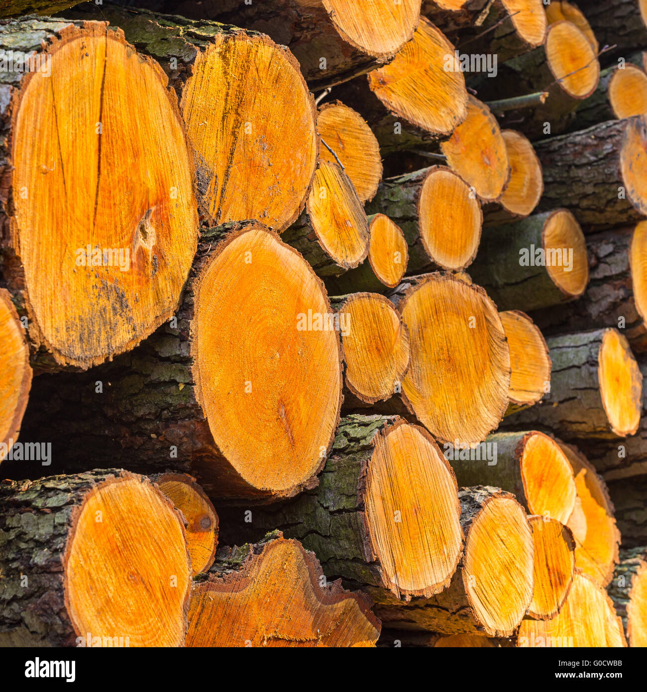 wood logs background Stock Photo - Alamy