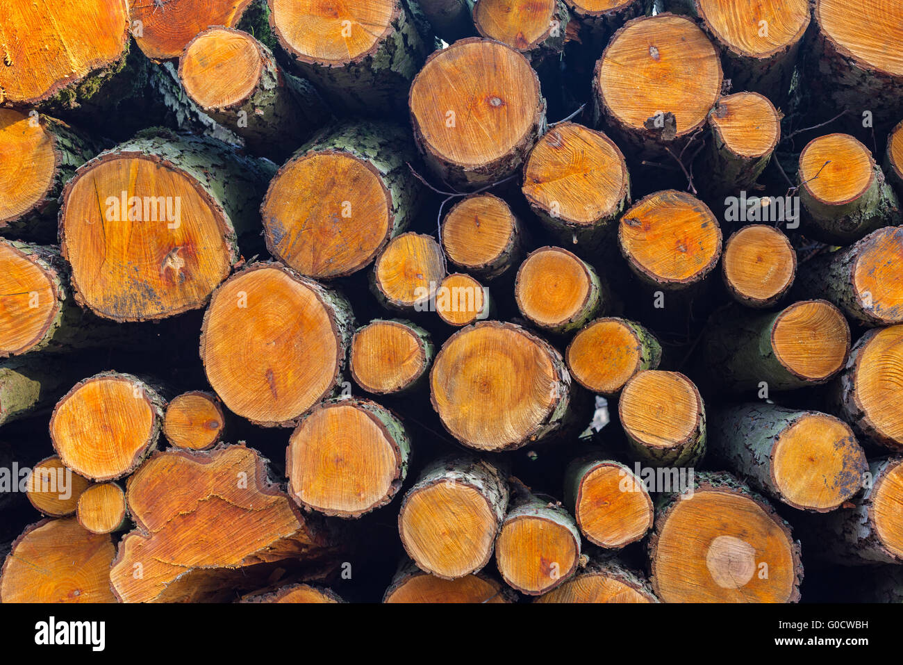 wood logs background Stock Photo - Alamy