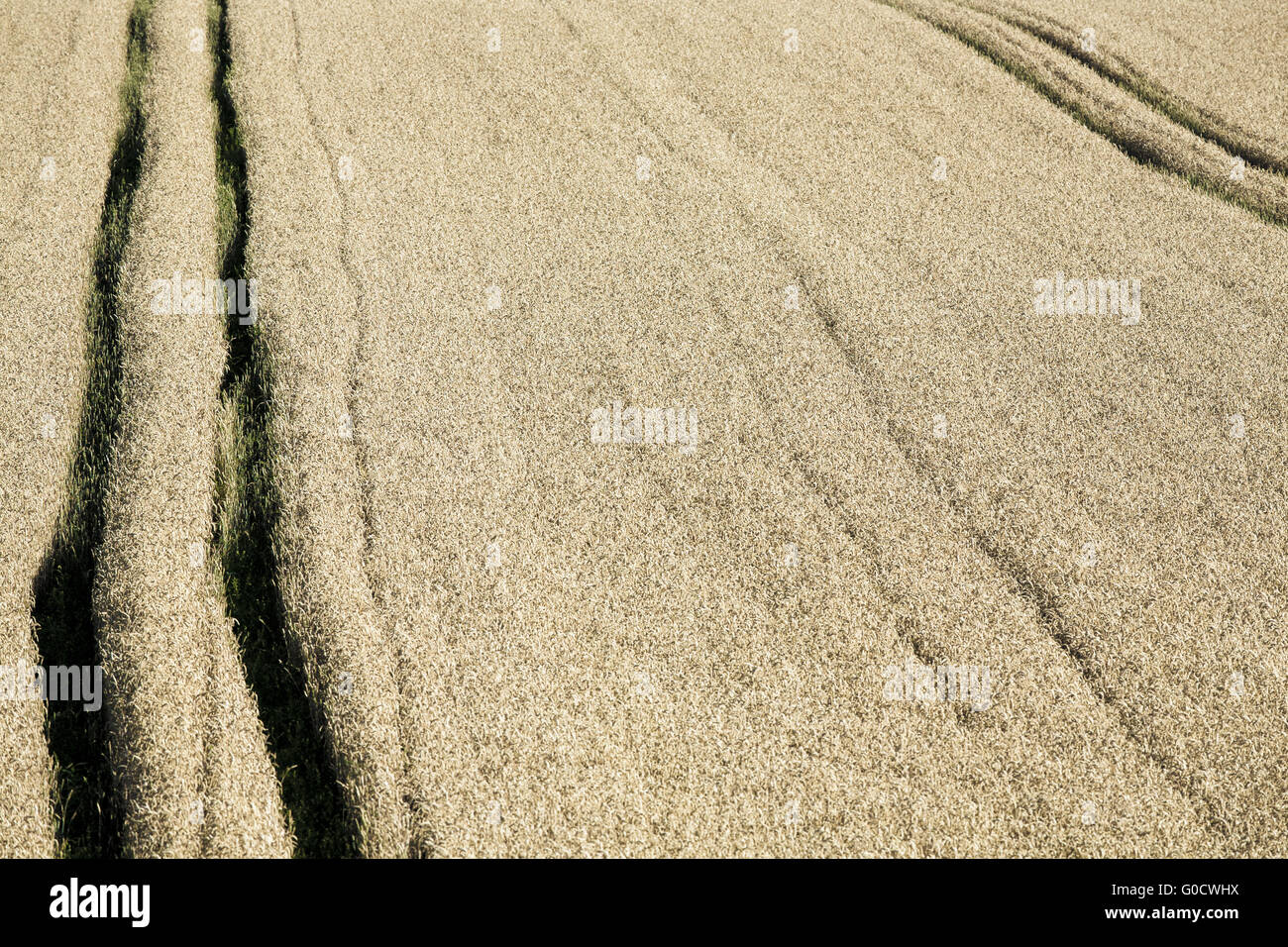 Dry soccer field hi-res stock photography and images - Alamy