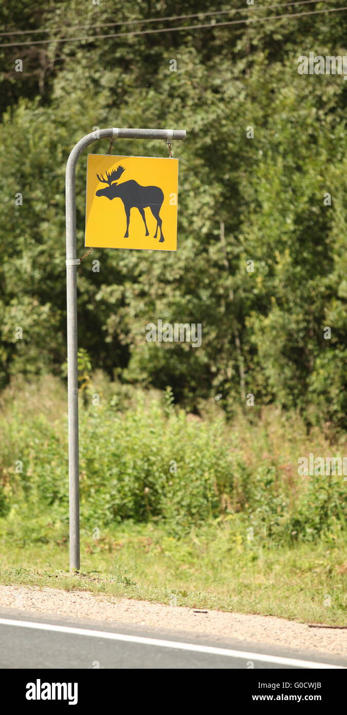 Road sign attention elk Stock Photo - Alamy