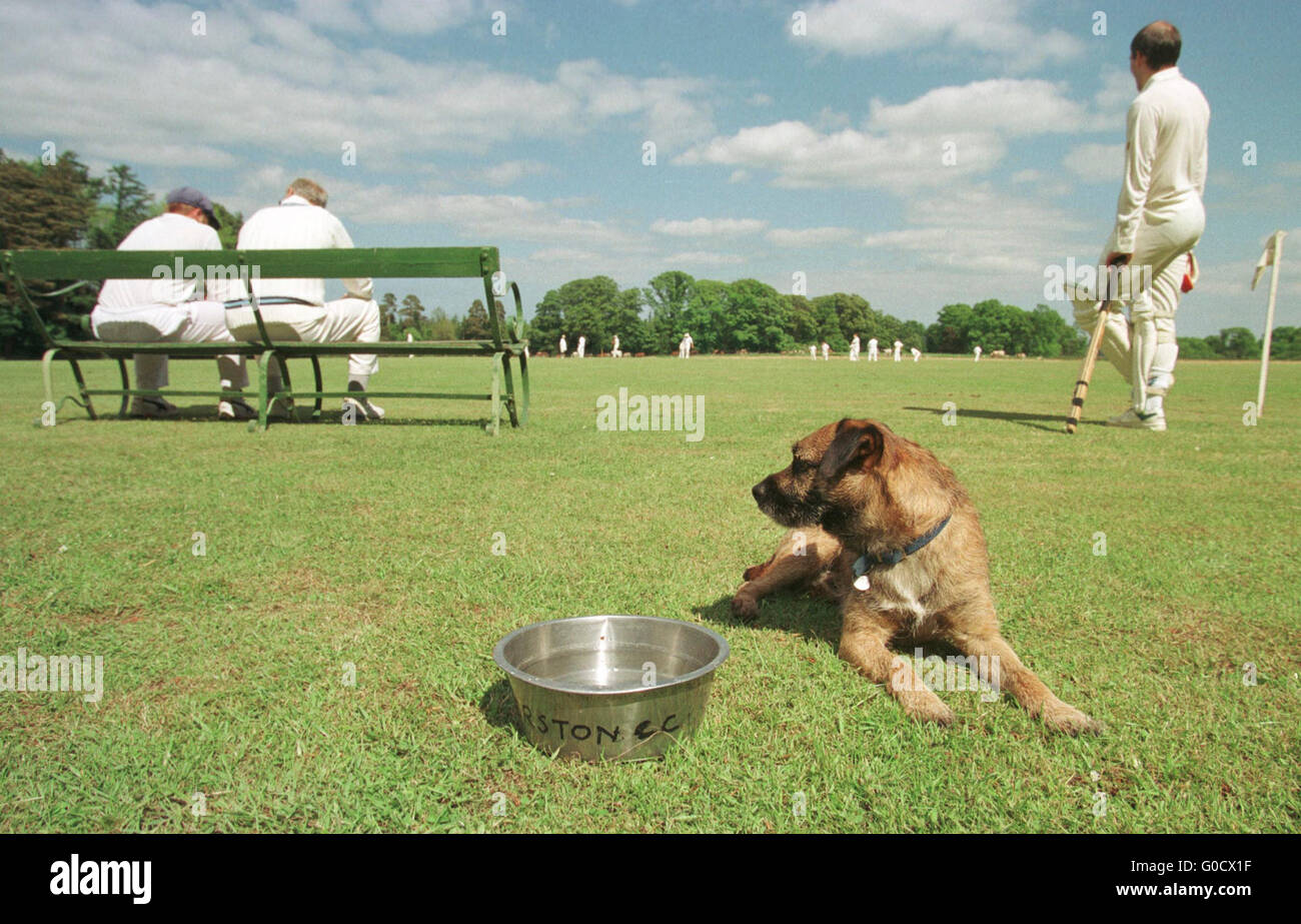 Manderston Cricket Club in the Scottish Borders Stock Photo - Alamy