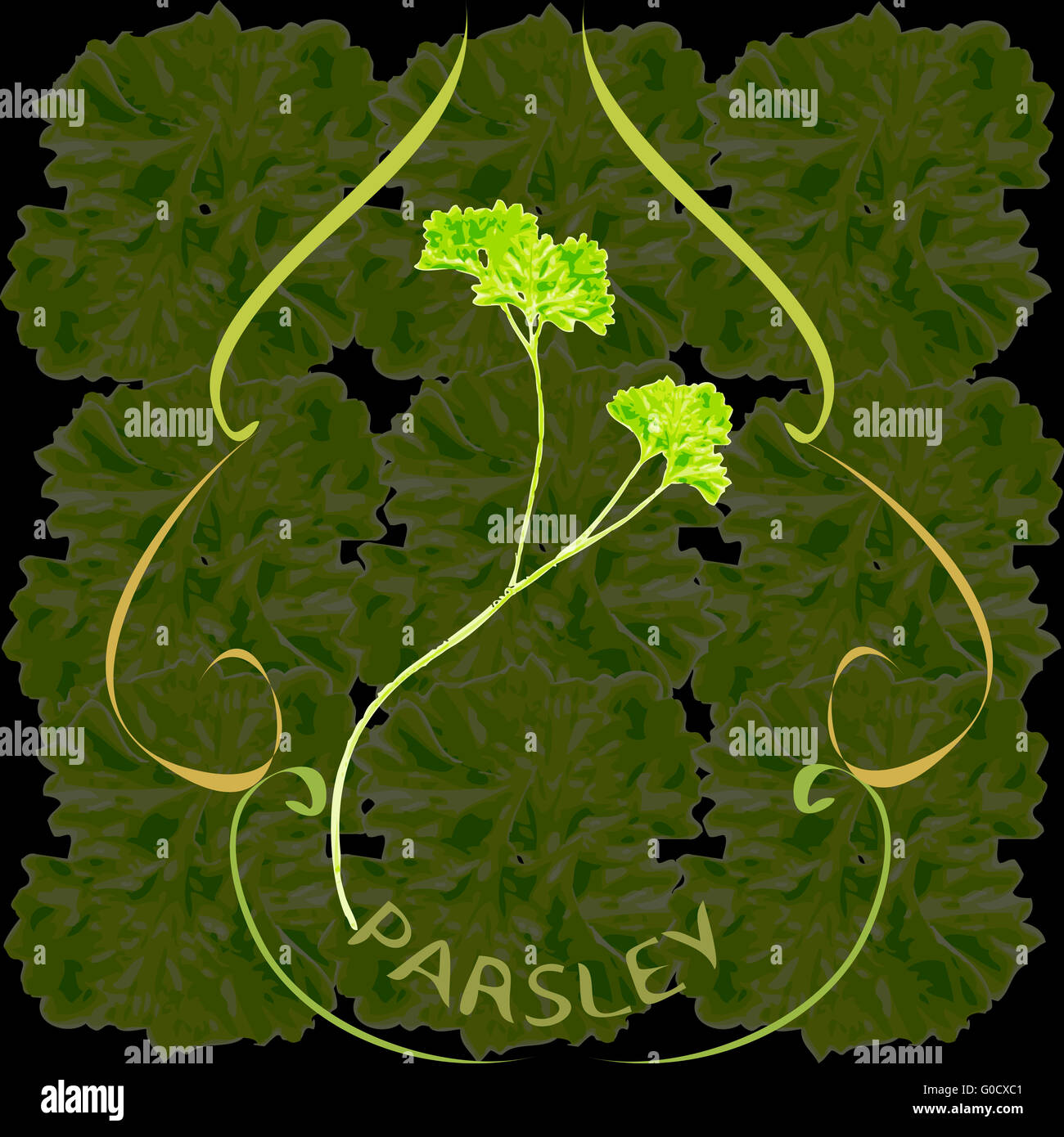 Parsley label hi-res stock photography and images - Alamy