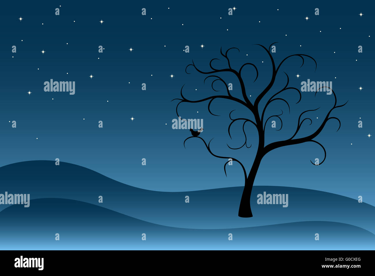 Tree at night Stock Photo - Alamy