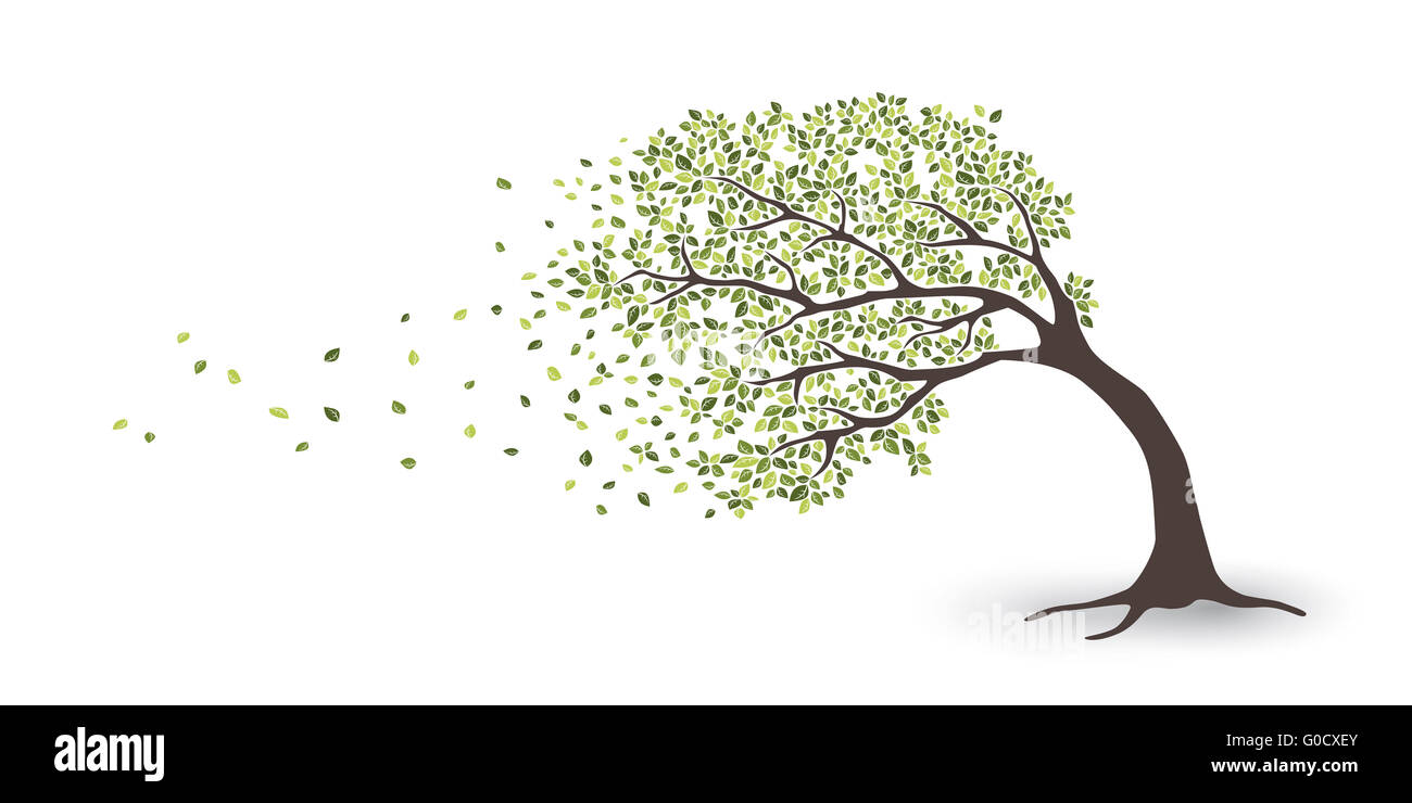 Tree in storm Stock Photo - Alamy