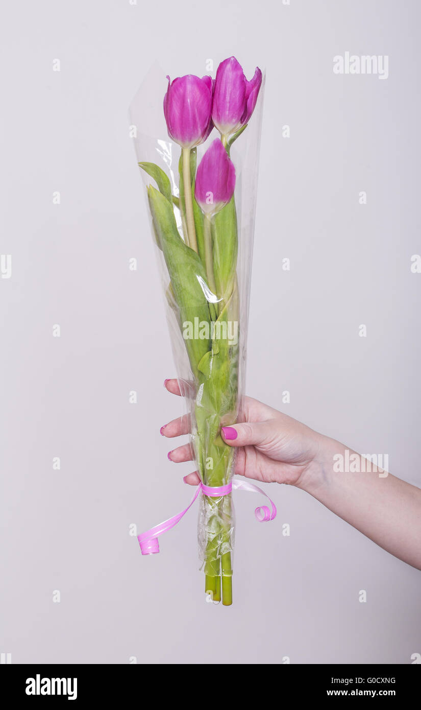 Hand with flower Stock Photo - Alamy