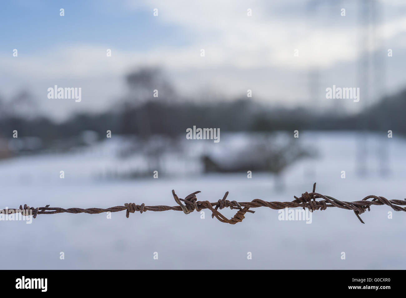 Barbed wire on top of a hut with trees Stock Photo - Alamy