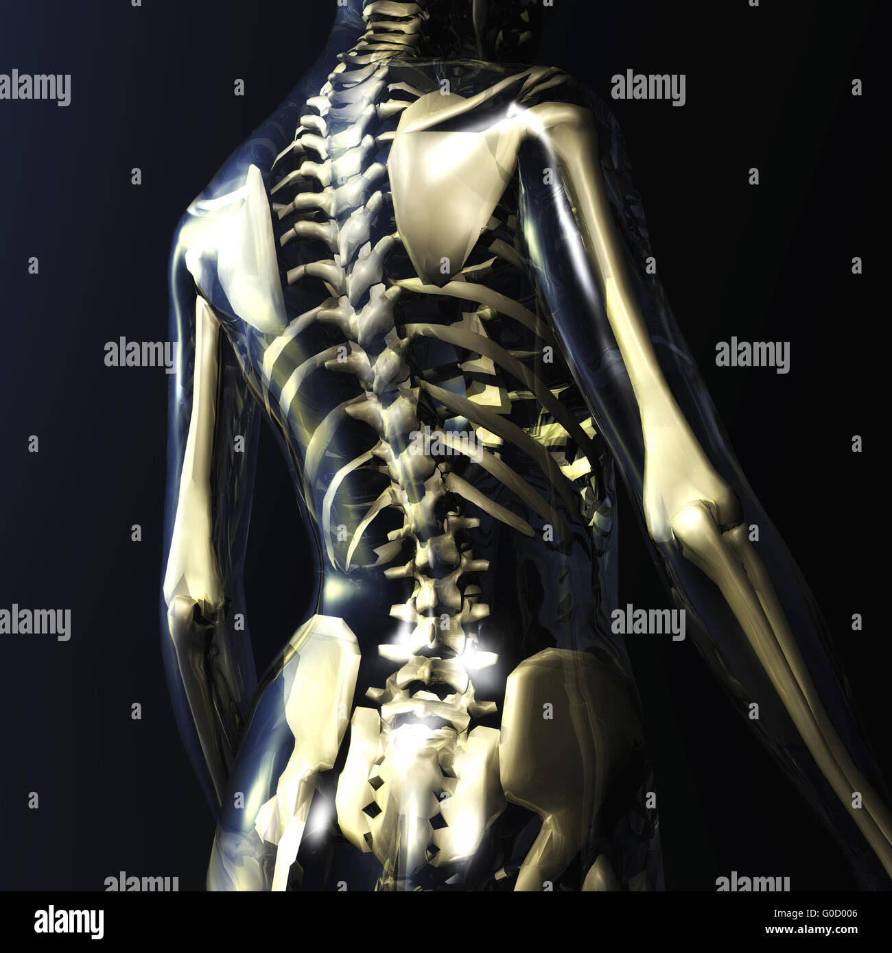Digital Illustration of a human Skeleton Stock Photo - Alamy
