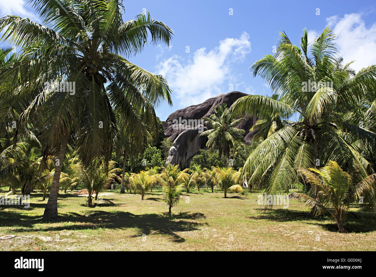 Beautiful enormous black granite rocks in a palm grove Stock Photo - Alamy