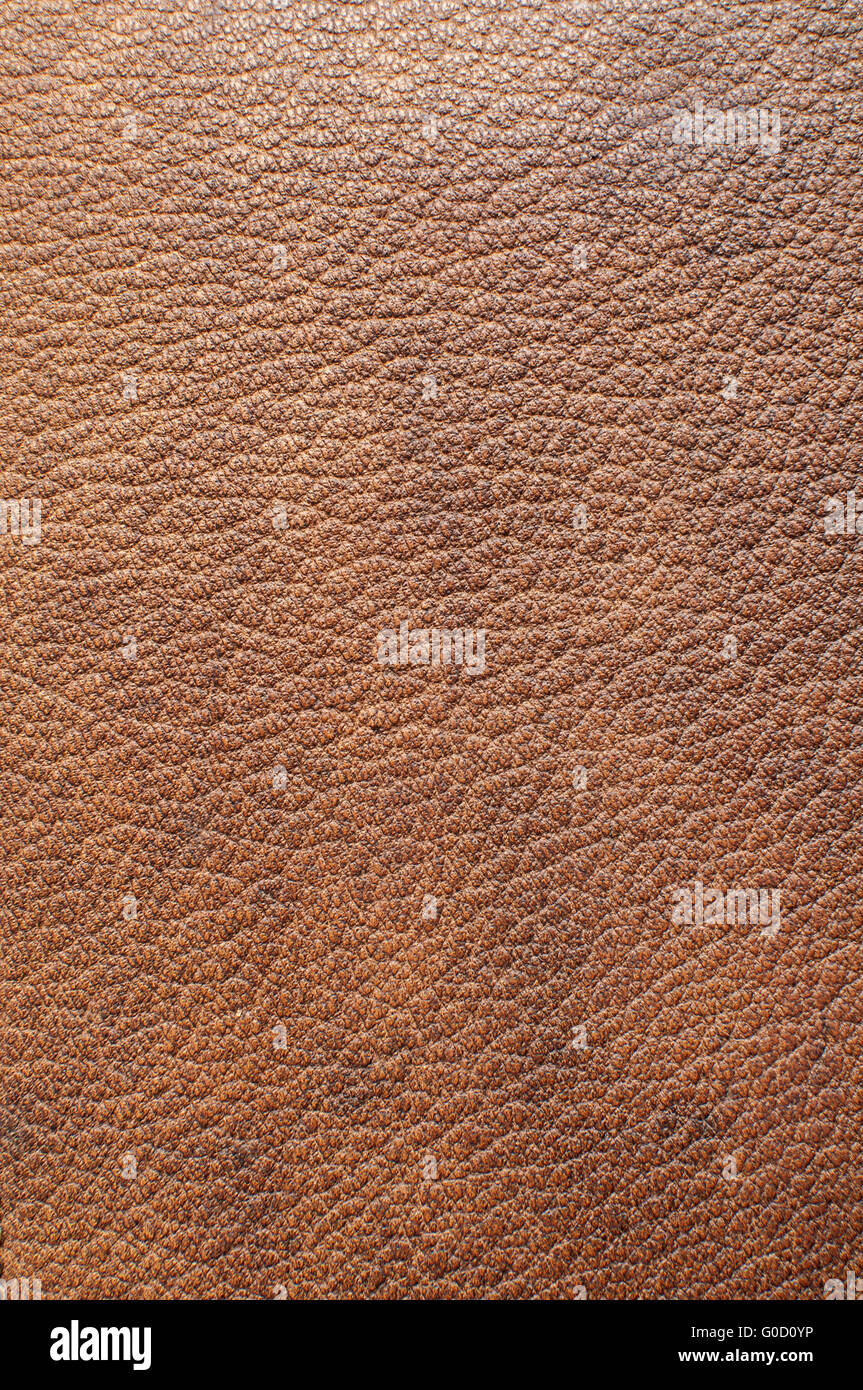 Leather Surface