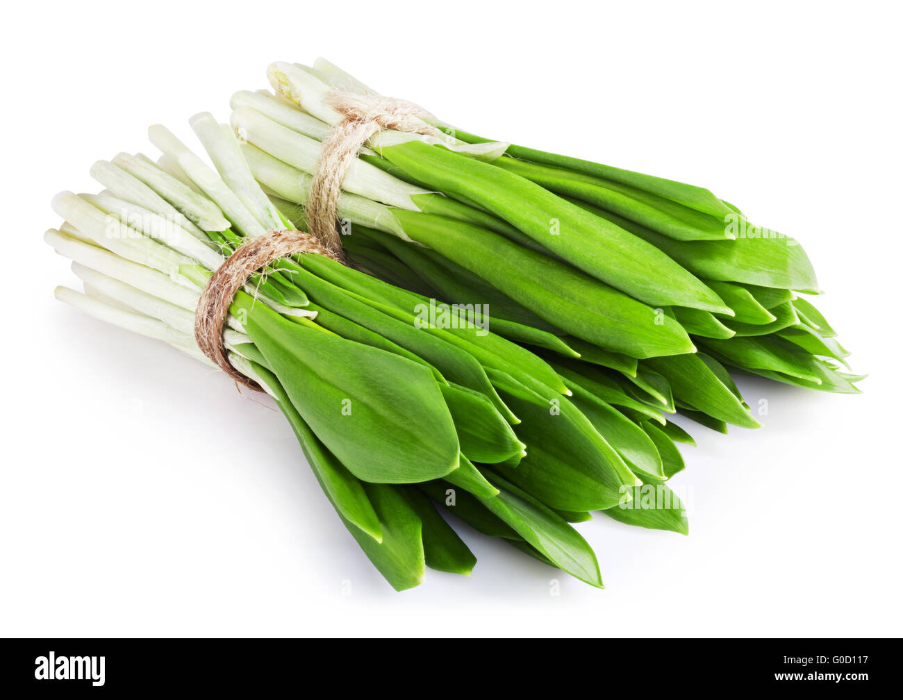 Organic fresh wild garlic Cut Out Stock Images & Pictures - Alamy