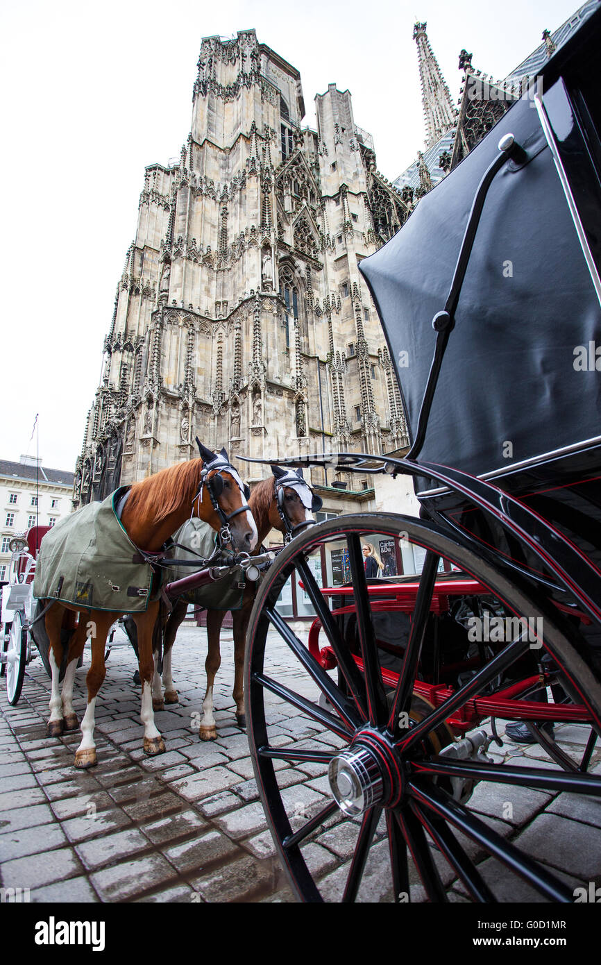 Vintage photo of horse drawn carriages hi-res stock photography and ...