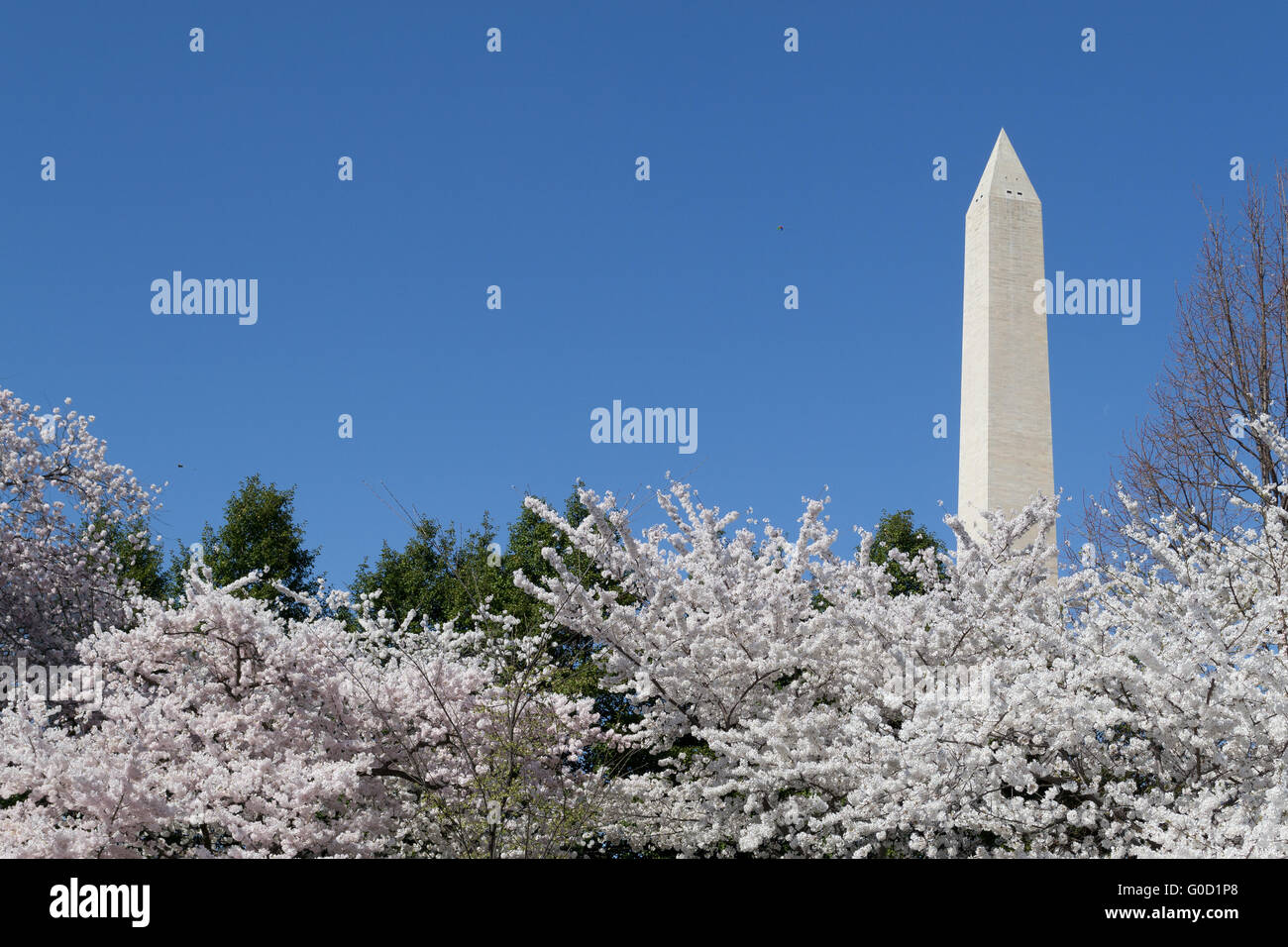 George washington and cherry tree hi-res stock photography and images ...