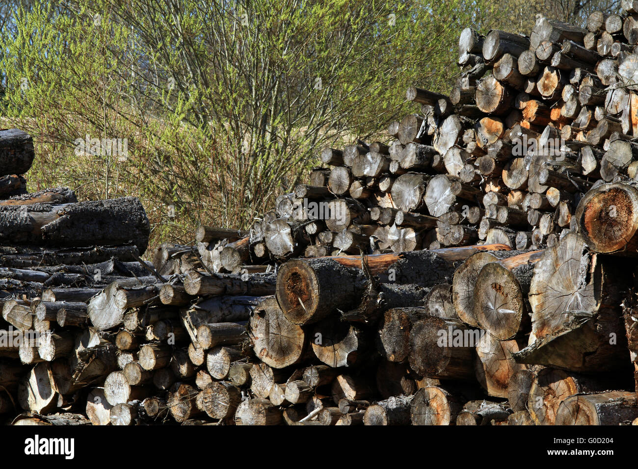 Log pile, Bavaria, Germany Stock Photo - Alamy