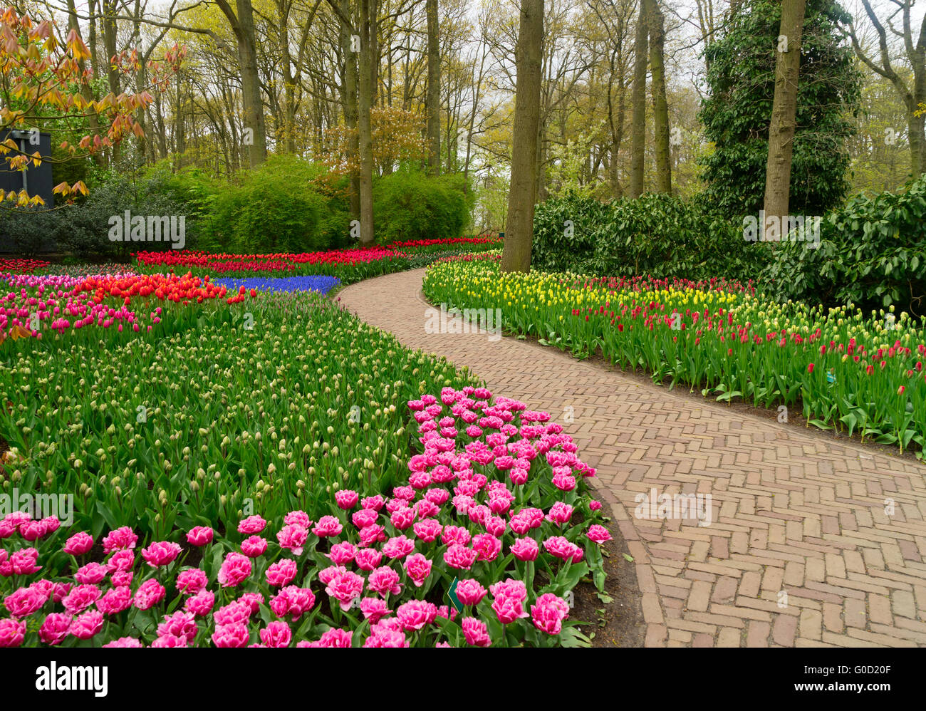 Curve of path in garden Stock Photo - Alamy