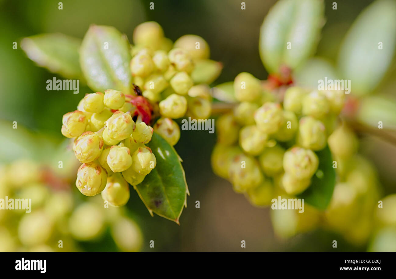 Springtime feeling hi-res stock photography and images - Alamy