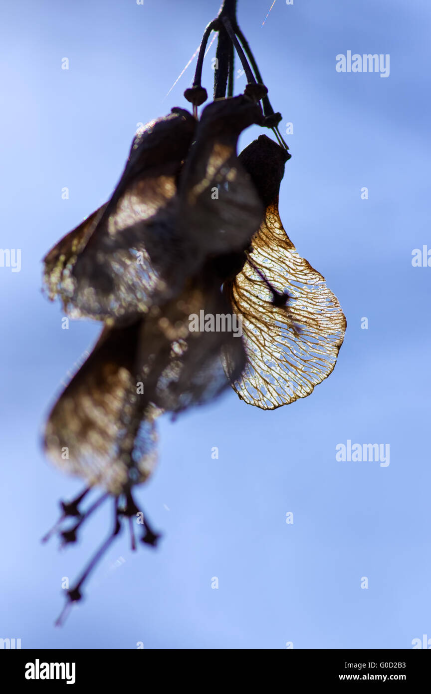 Springtime feeling hi-res stock photography and images - Alamy