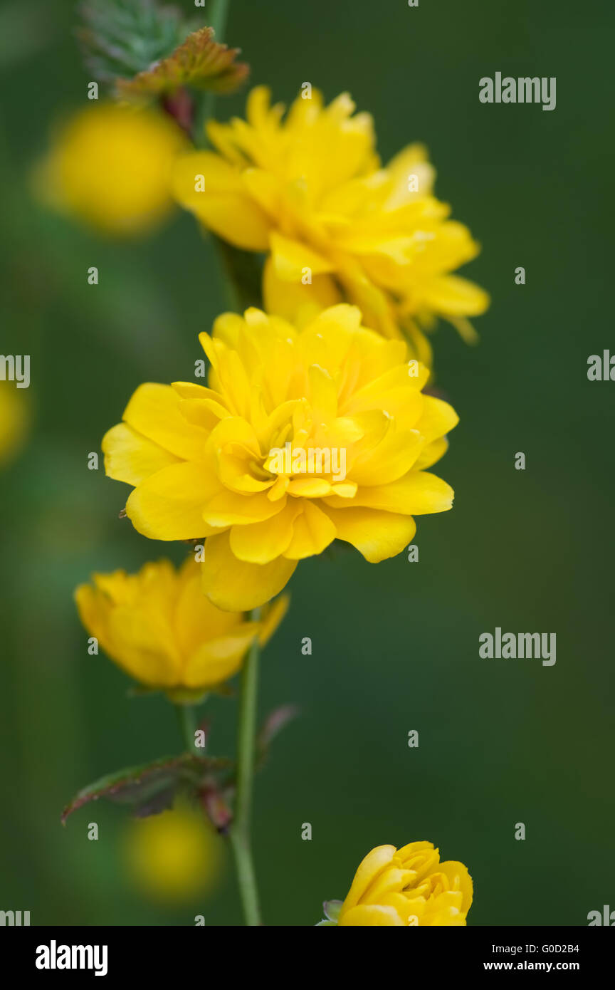 Springtime feeling hi-res stock photography and images - Alamy