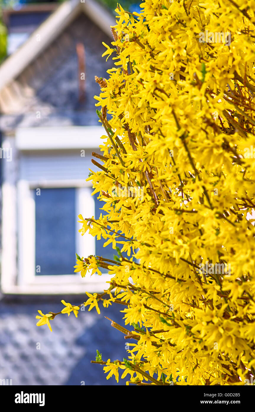 Springti hi-res stock photography and images - Alamy