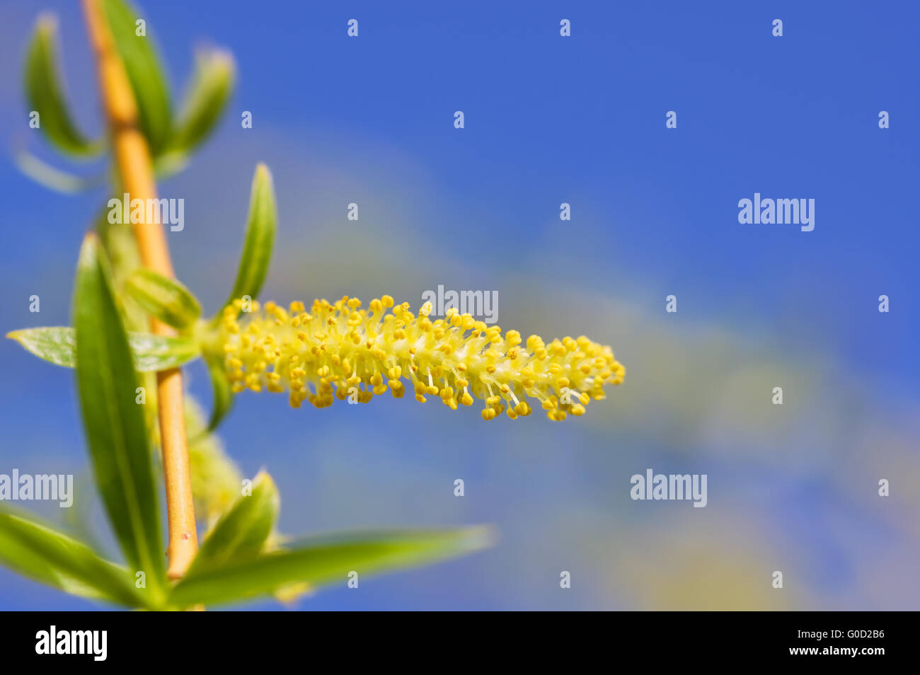 Springtime feeling hi-res stock photography and images - Alamy