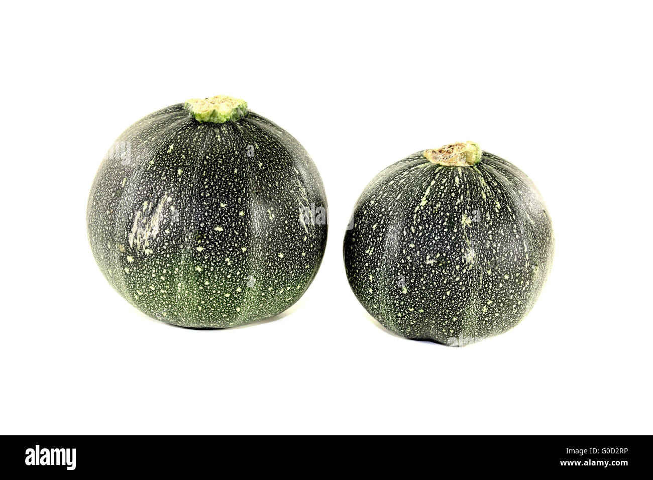 Rotund hi-res stock photography and images - Alamy