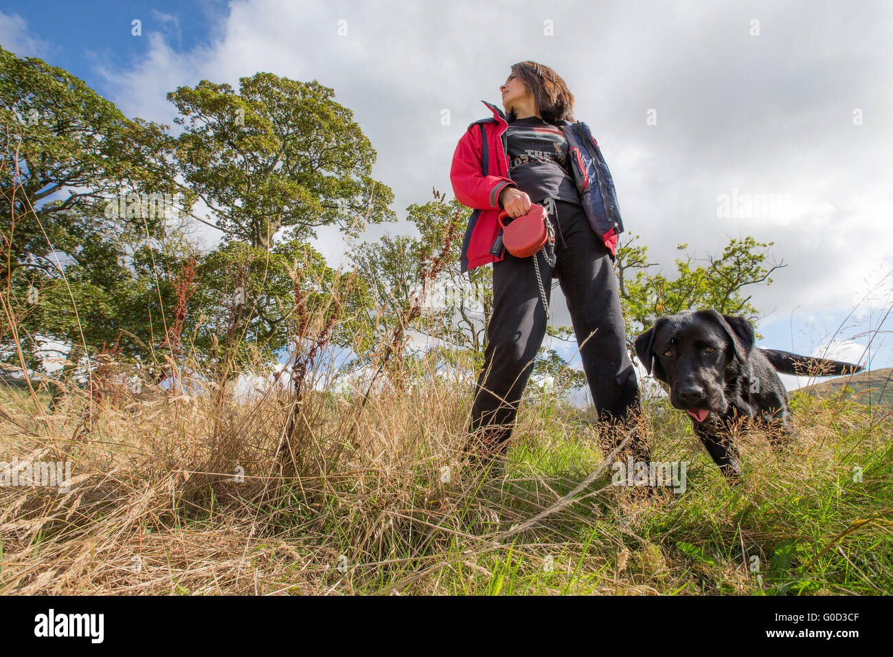beautiful woman walking dog Stock Photo - Alamy