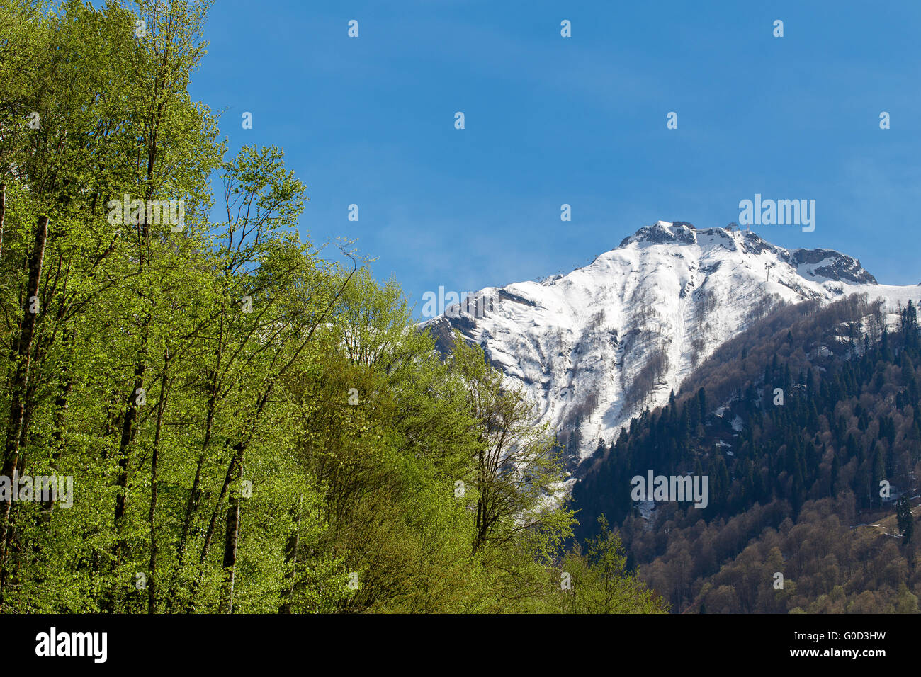 Beautiful Mountain with Green Trees on Spring Stock Photo - Alamy