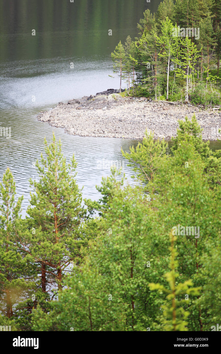 View on Tinnsja lake and forest at nasty summer day Stock Photo - Alamy