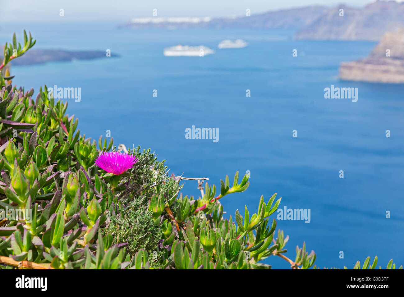 Rock ledge sea hi-res stock photography and images - Alamy