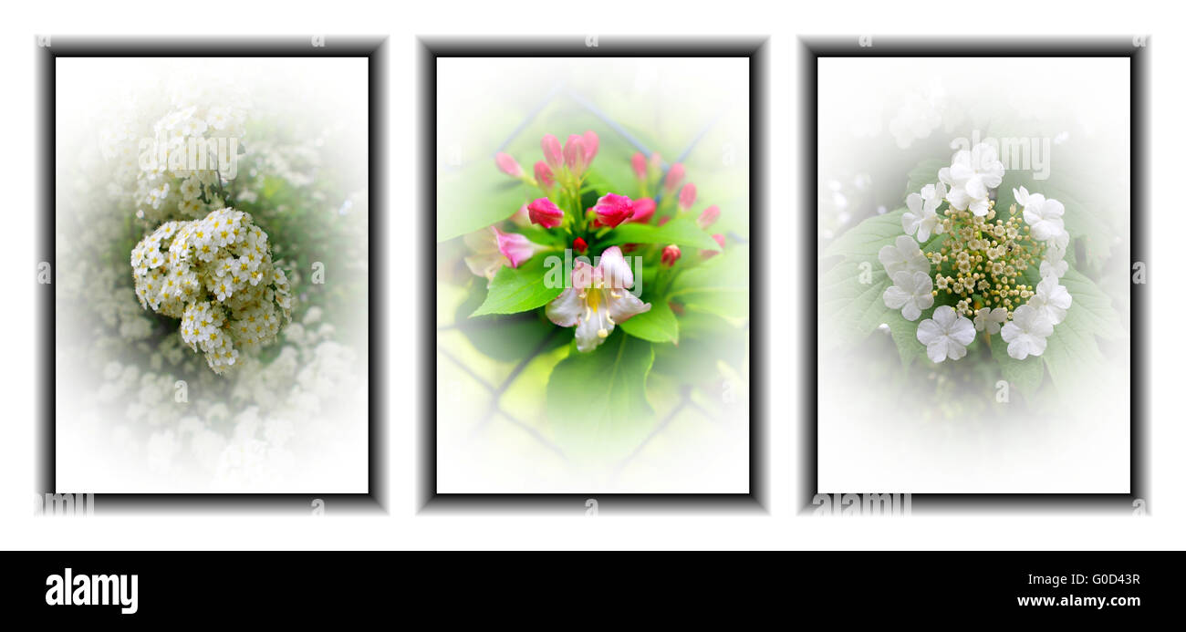 Nature poster for interior hi-res stock photography and images - Alamy