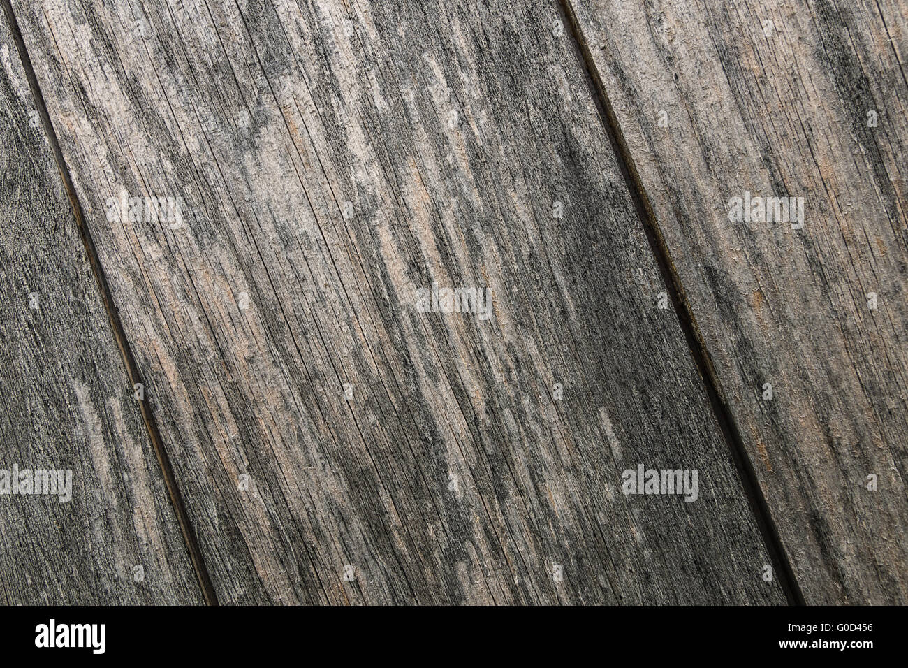 Paneele boden hi-res stock photography and images - Alamy