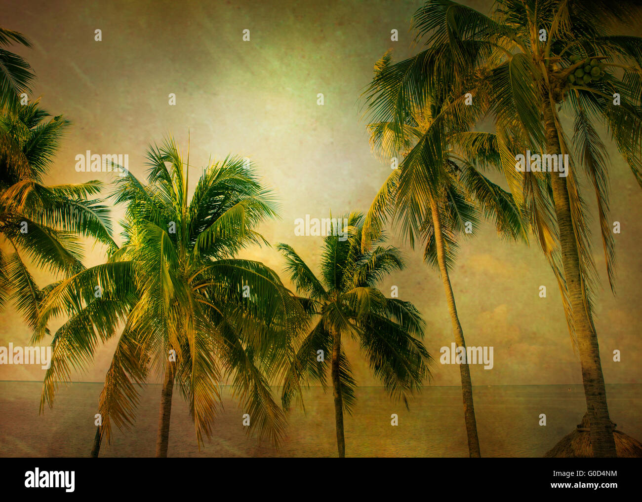 Retro style palm trees with vintage grunge texture Stock Photo - Alamy