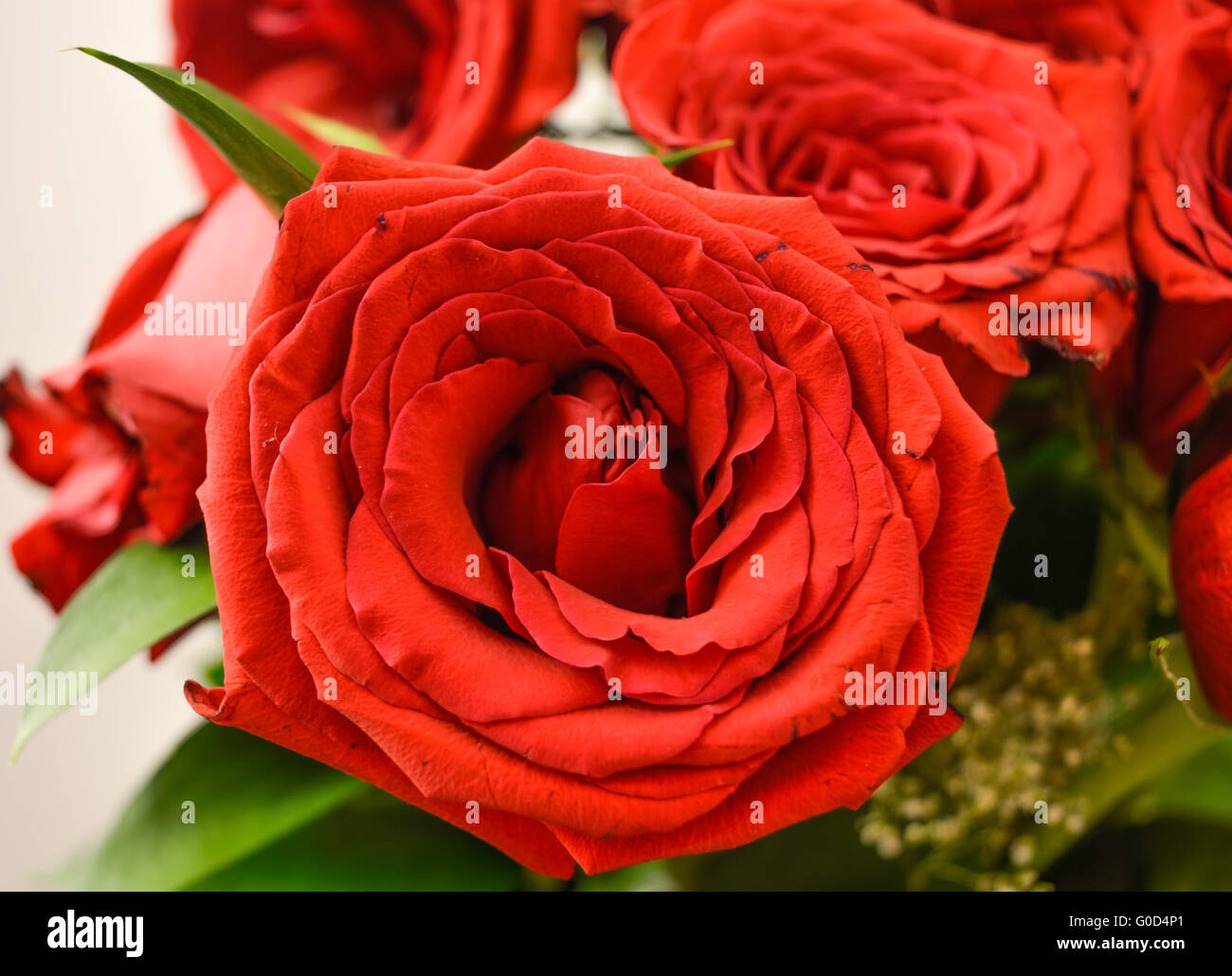 Flora flourished hi-res stock photography and images - Alamy