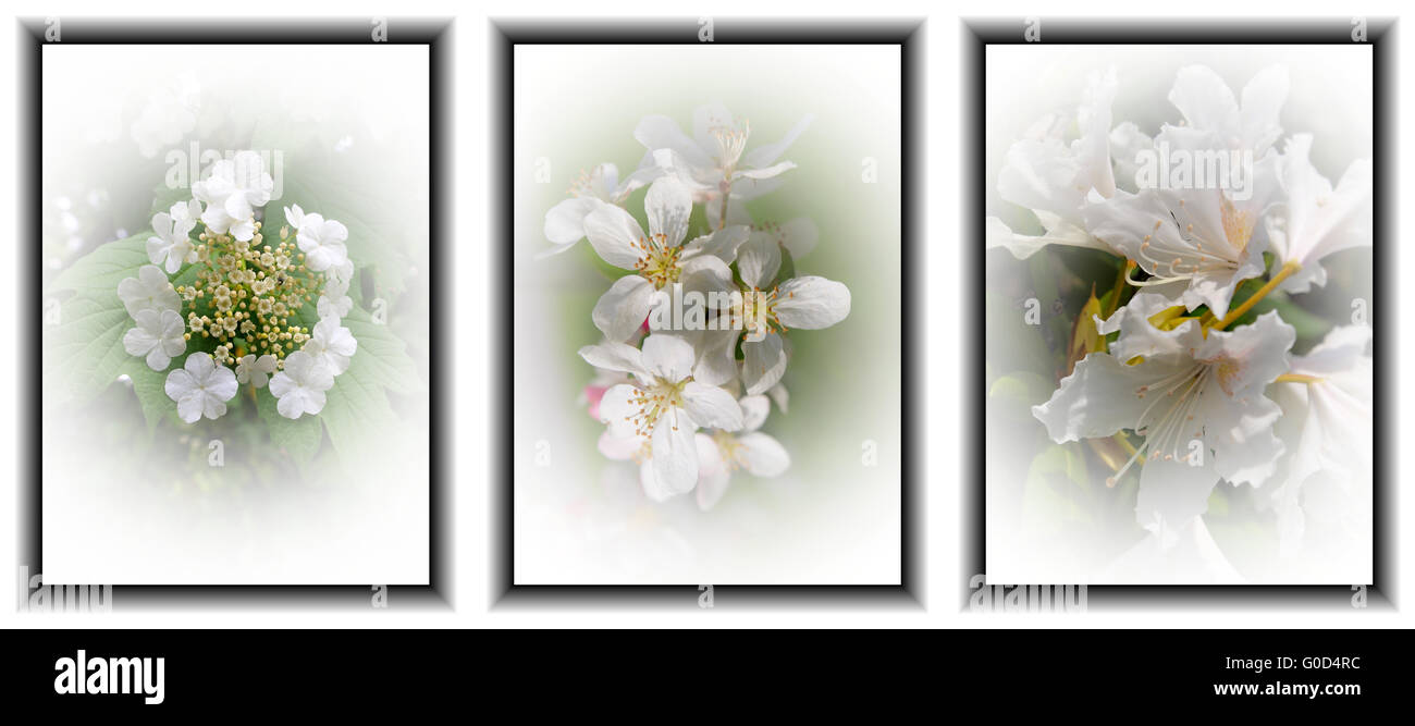 Poster triptych hi-res stock photography and images - Alamy
