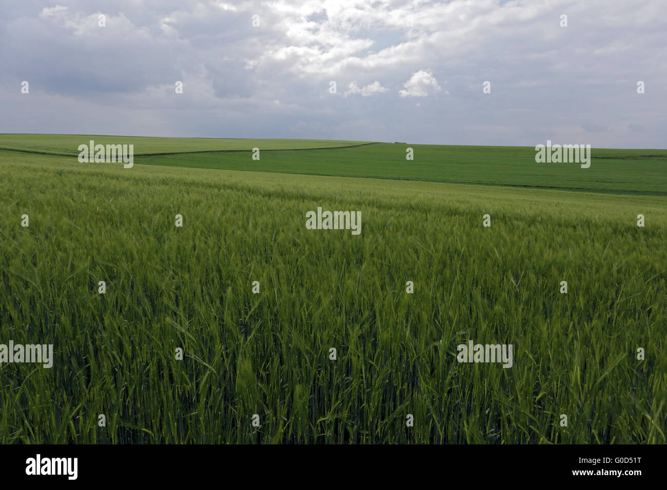 Cornfields, Swabian Jura, Germany Stock Photo - Alamy