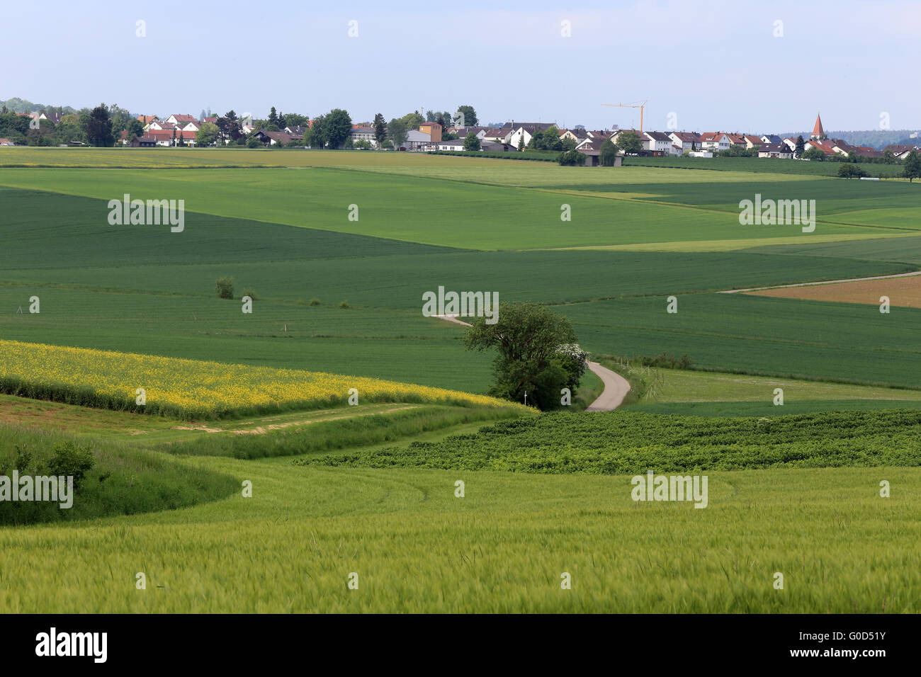 German crop hi-res stock photography and images - Alamy